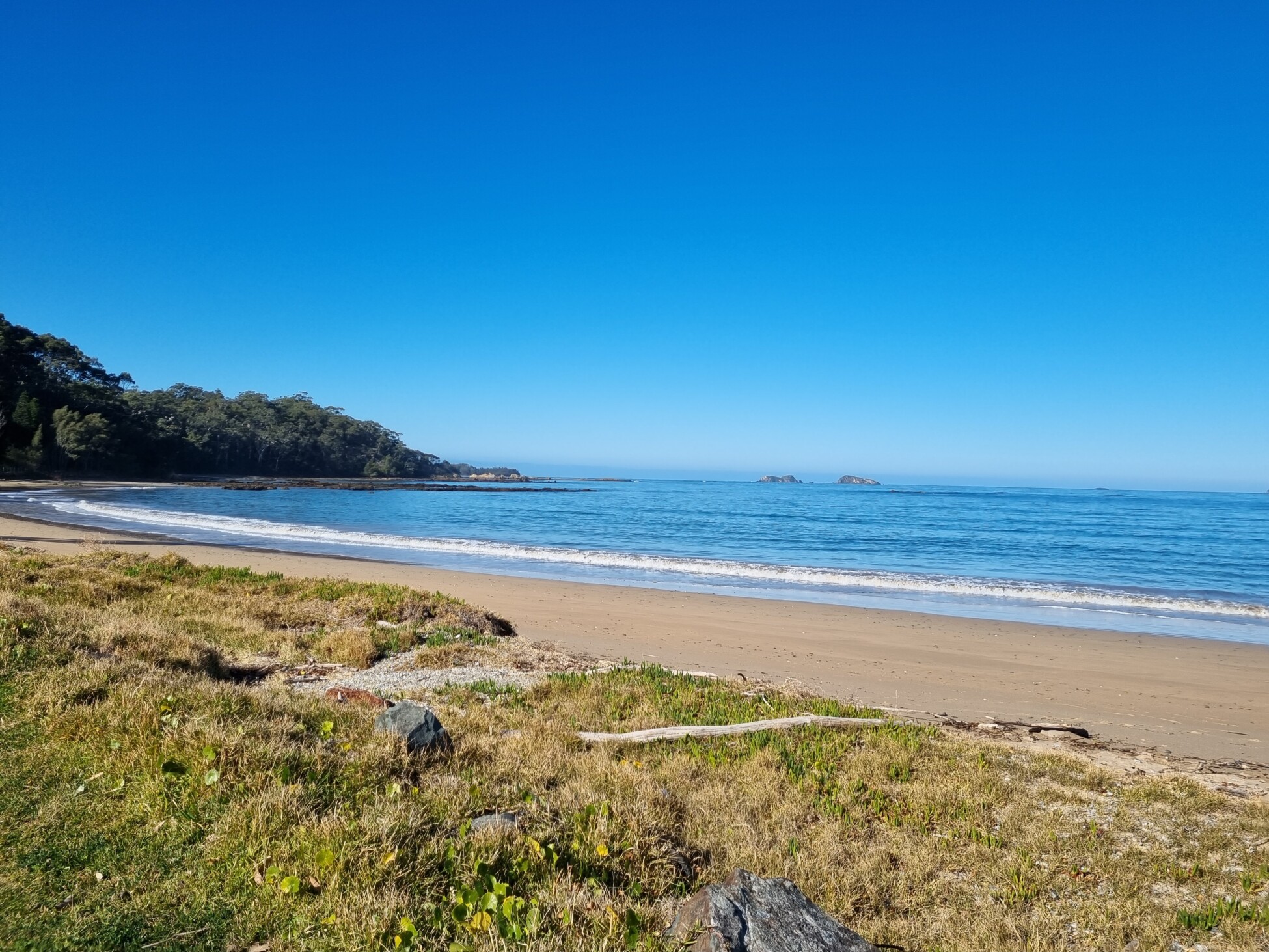 Louise Baird – Yoga Australia